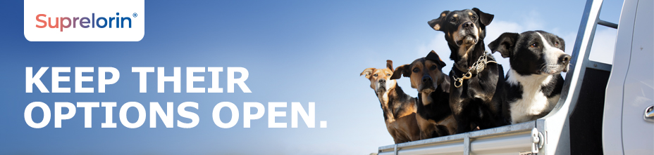 Suprelorin® - Surgery-free alternative for dog castration | Virbac